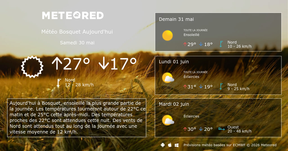 Météo Bosquet heure par heure - Meteored France