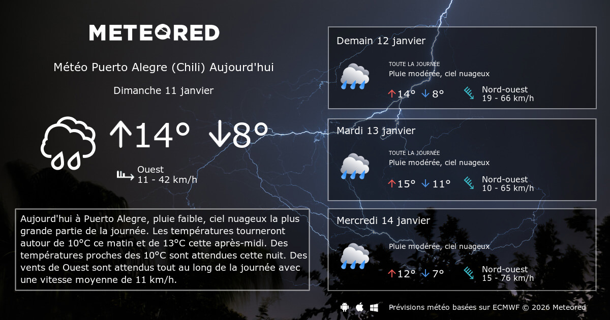 Météo Puerto Alegre (Chili) heure par heure - Meteored France