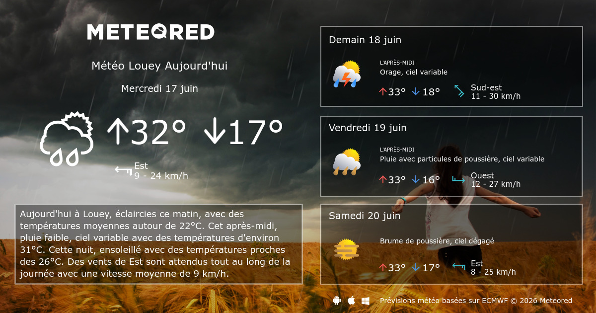 Météo Louey heure par heure - Meteored France