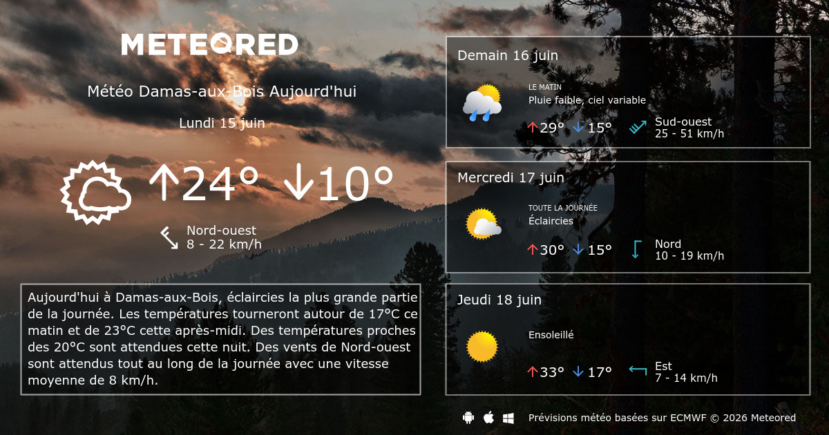 Météo Damas-aux-Bois heure par heure - Meteored France